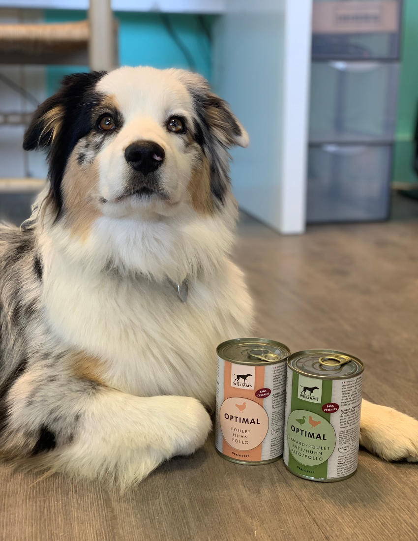 Aliments pour chien - Williams Pet Food